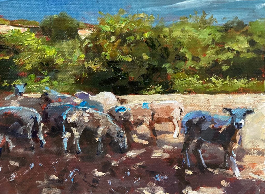 Drift Sheep – Jeremy Sanders Fine Artist